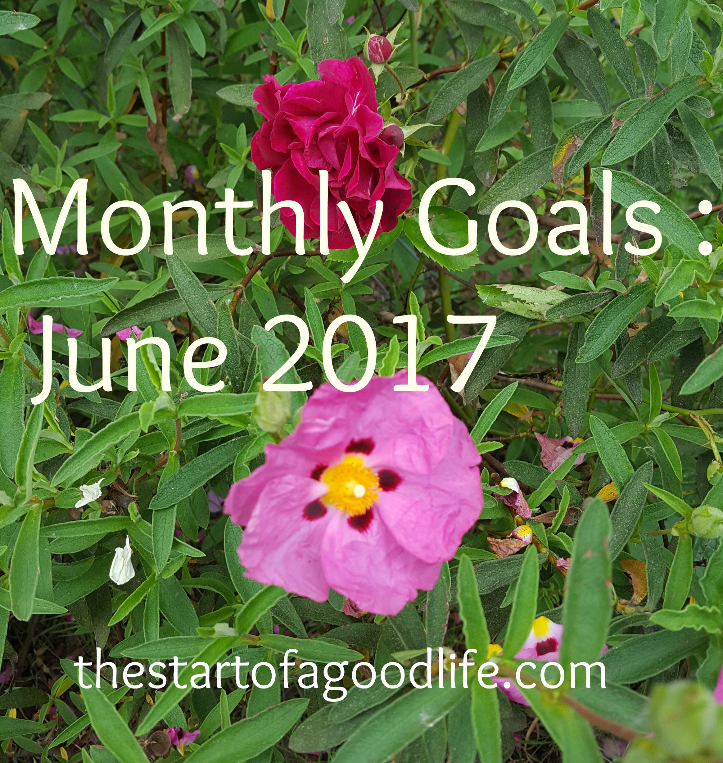 Monthly Goals: June 2017 | the start of a good life