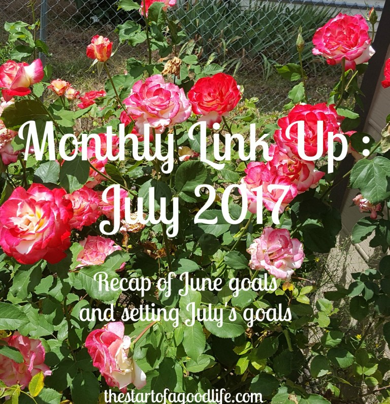 Monthly Goals: July 2017 | the start of a good life