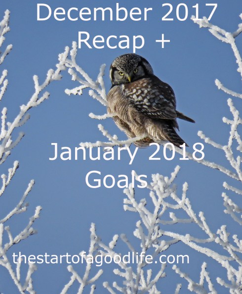 December Recap and January Goals | the start of a good life